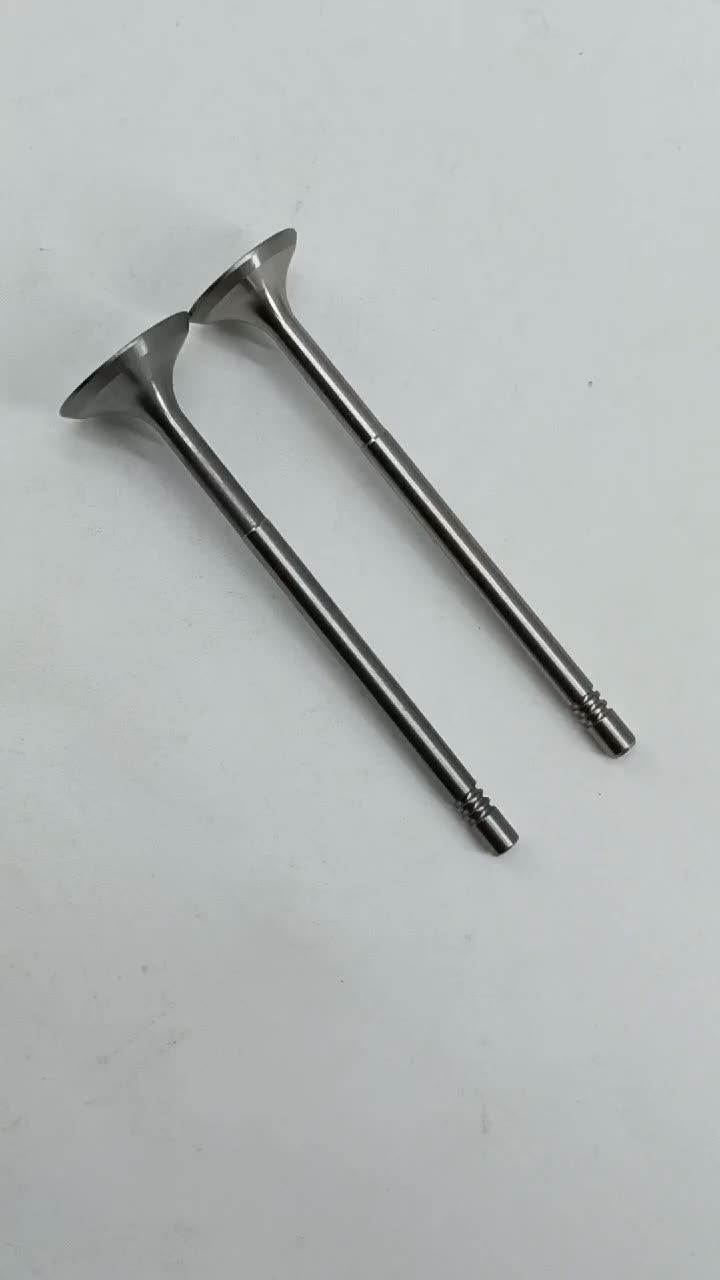 6510530101 6510500127 Engine Intake Exhaust Valve For Mercedes Sprinter ...