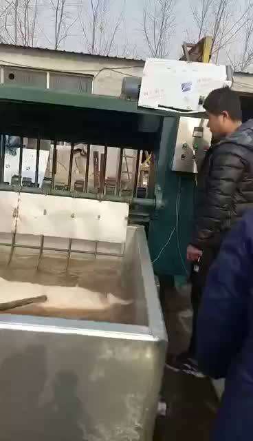 Factory Price Pig Processing Equipment Pig Dehairing Machine Small ...