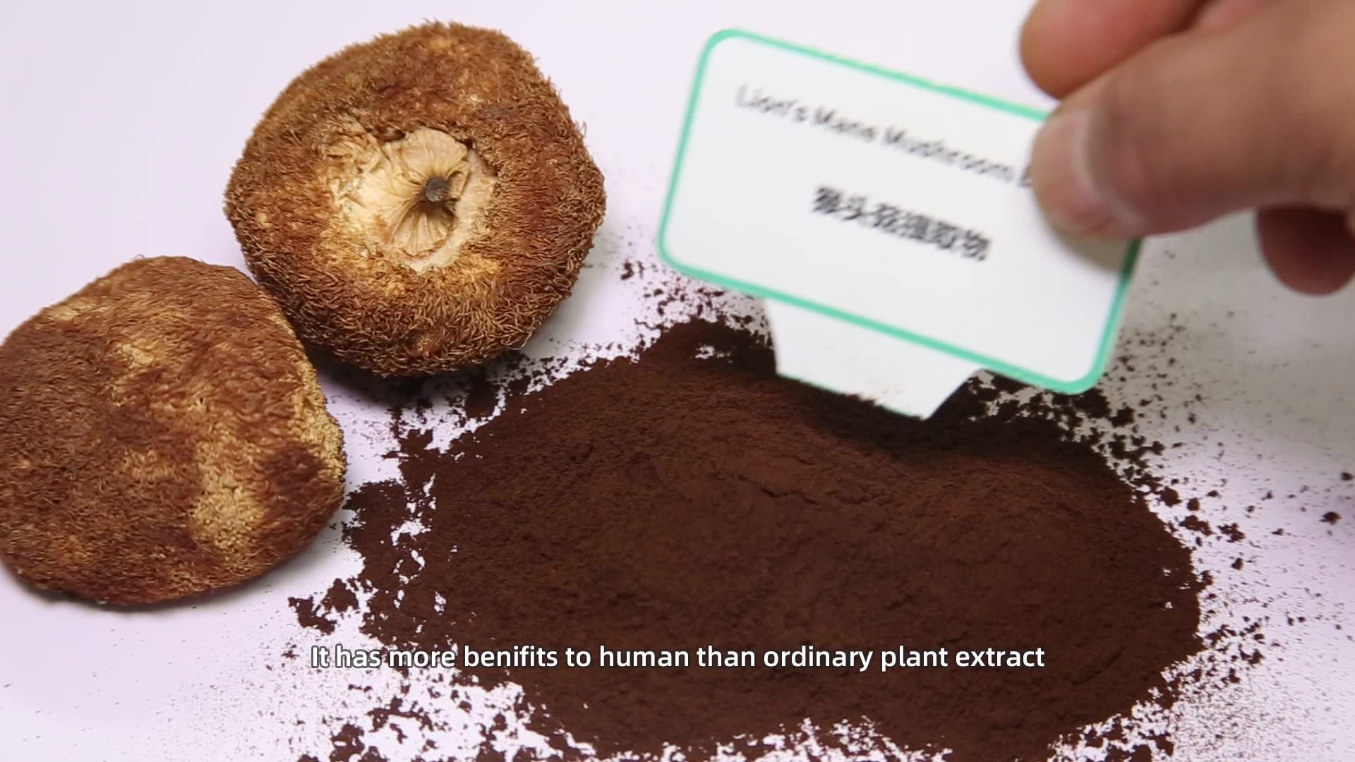 Low Price Reishi Mushroom Mycelium Extract Powder Polysaccharide - Buy ...