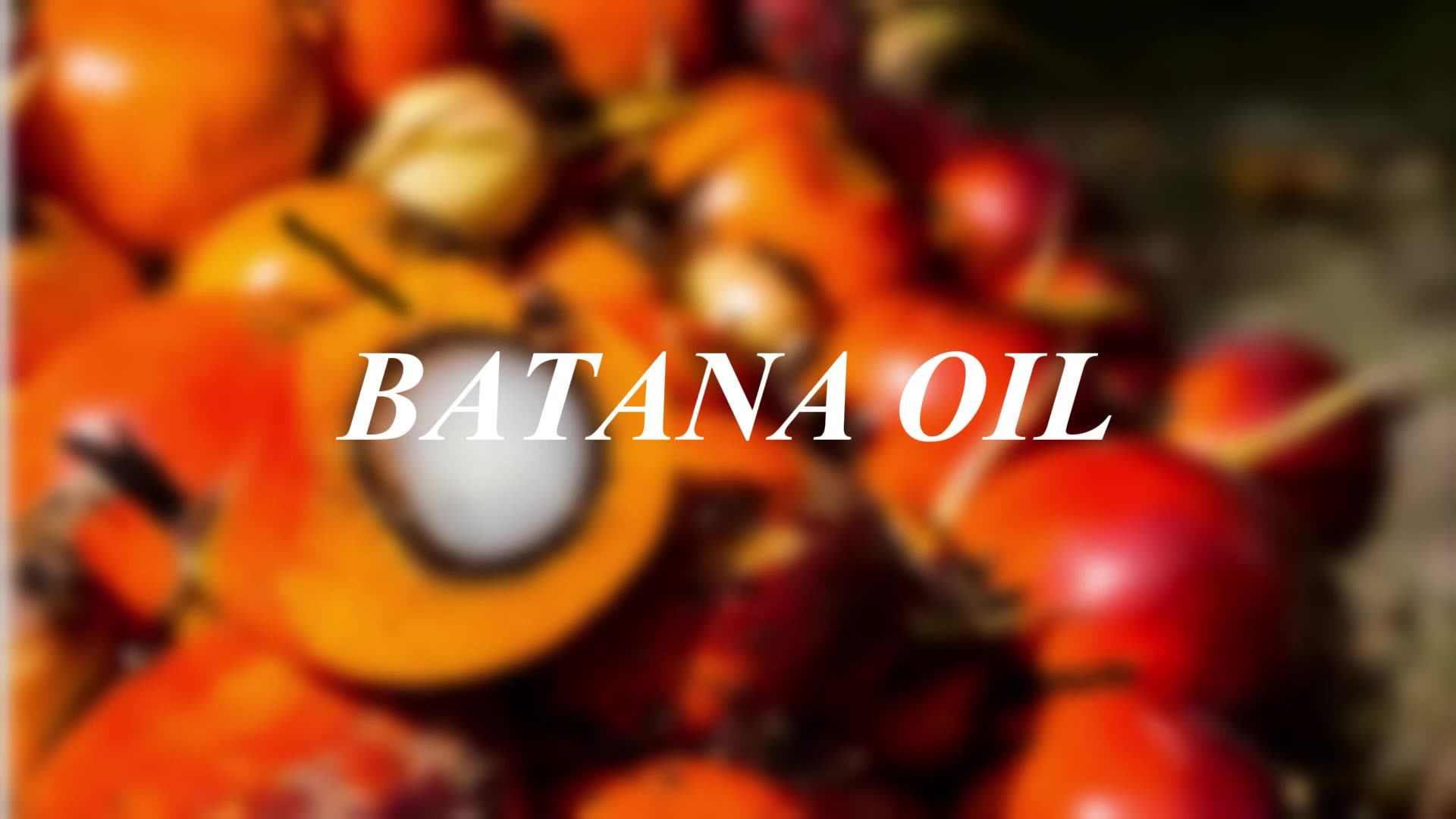 Organic Raw Batana Oil Bulk Anti Hair Loss Treatment Repair Damaged ...