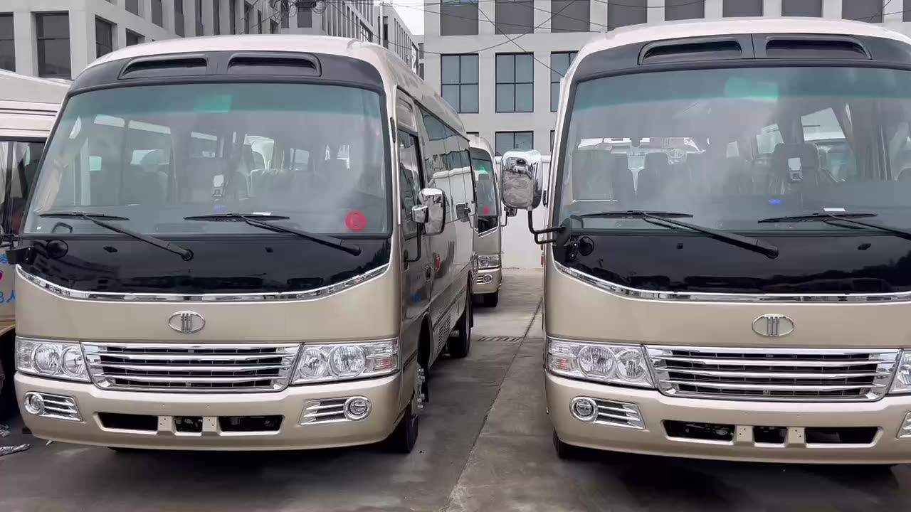 Japan Bus Coach Toyo Ta Coaster 30 Seats With Diesel Engine Leather ...