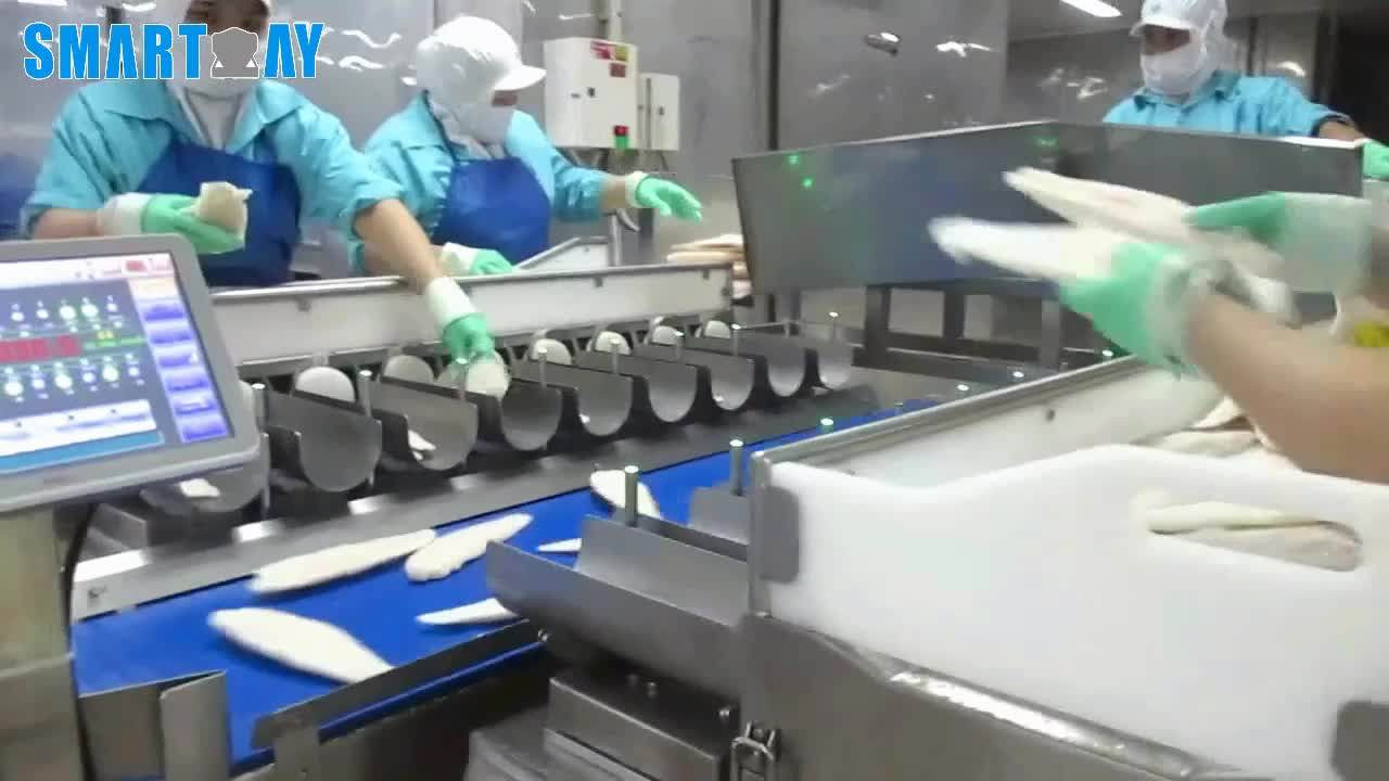 Automatic Frozen Fish Fillet Weigher Machine Fish Packing Machine - Buy ...