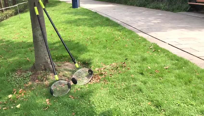 Metal Rolling Tennis Ball Picker Garden Hazelnut Gatherer Nut-gatherer ...