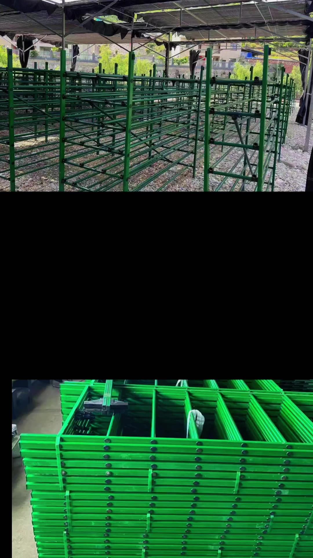 Black Fungus Mushroom Pleurotus Geesteranus Rack Shelf Frame For ...