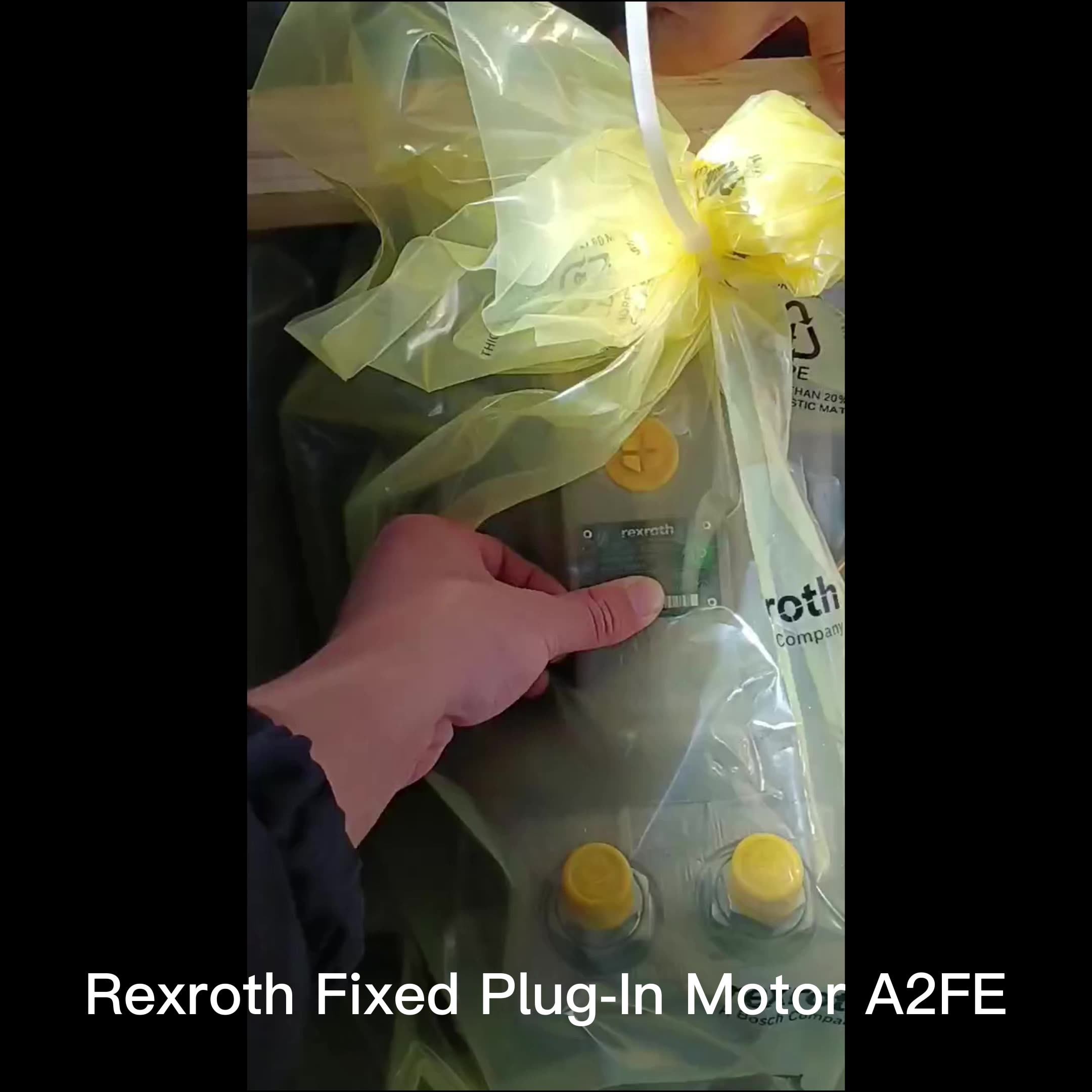 Fixed Plug-in Motor Rexroth A2fe45 A2fe63 A2fe80 A2fe90 A2fe107 A2fe ...