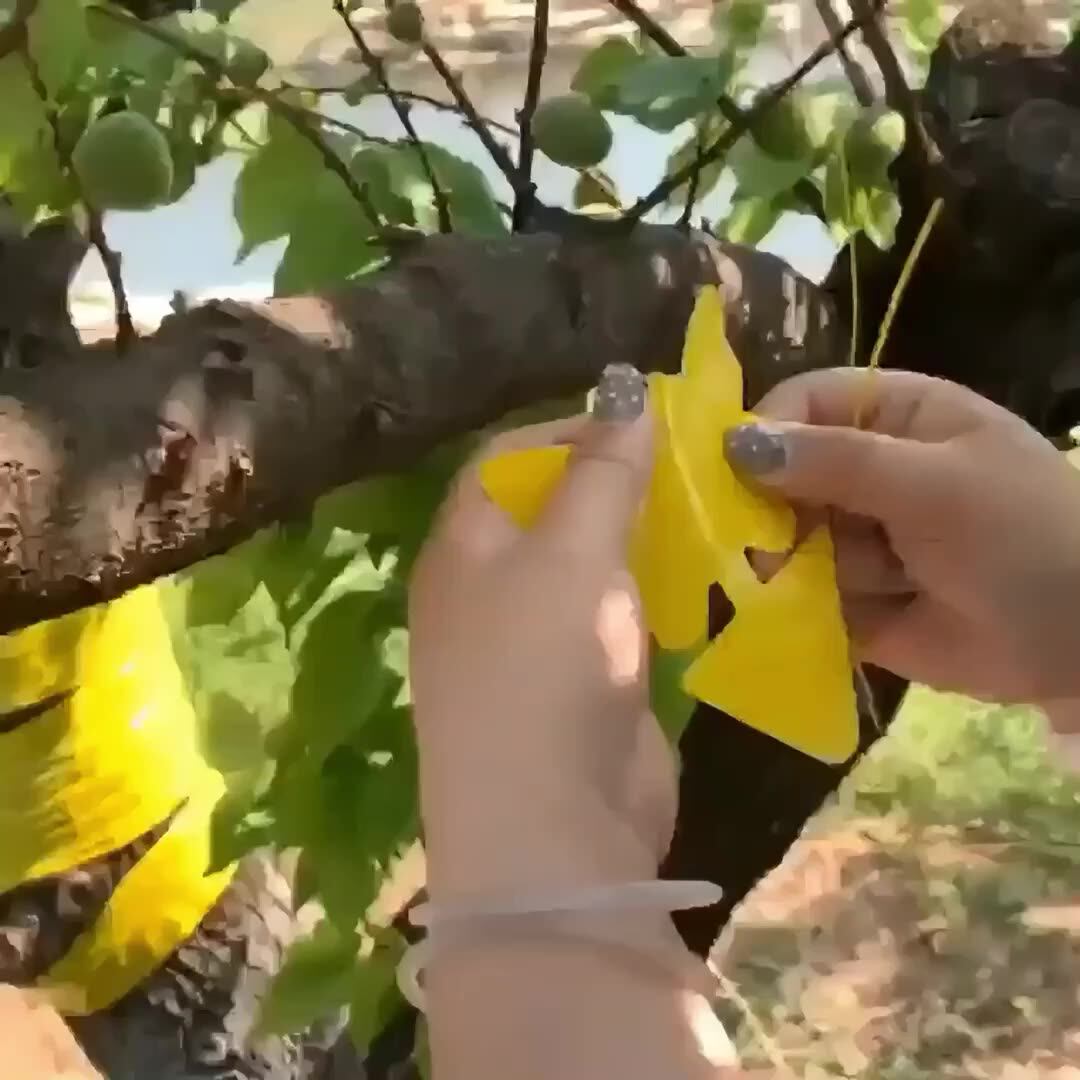 Butterfly Shaped Sticky Traps Eliminating White Flies Trap Gn ...