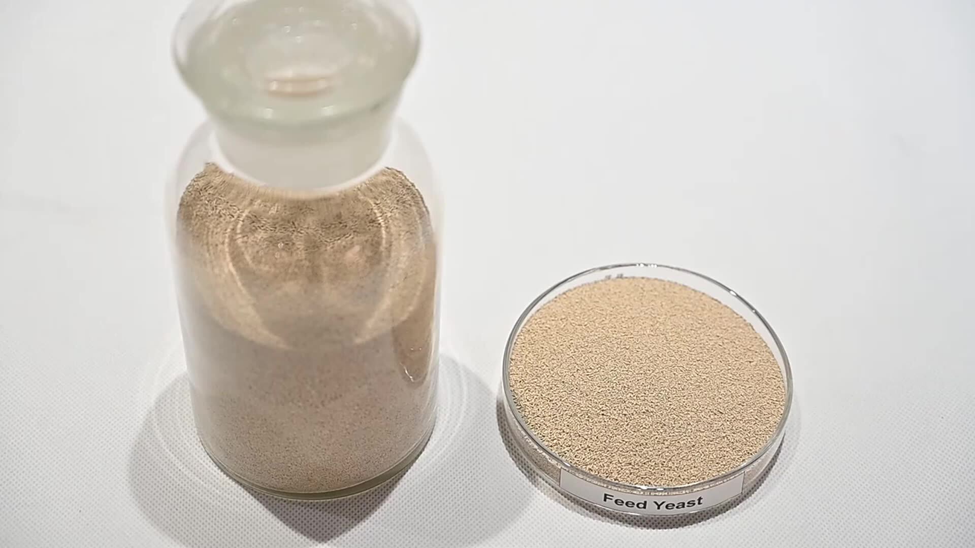 For Efficient Livestock Farming With Feed Yeast: Use Our Cost-effective ...