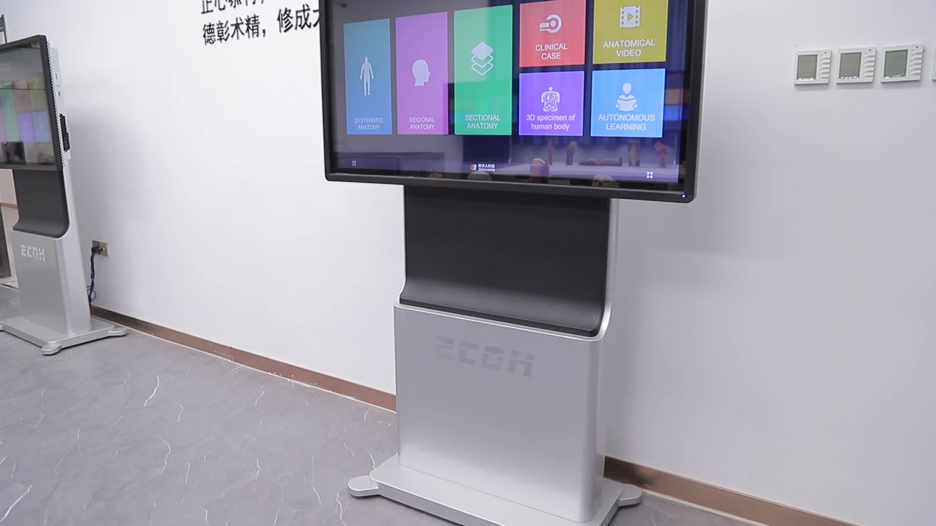 Digital Human Anatomy Teaching System - Virtual Dissection