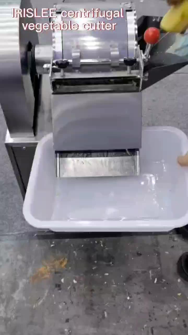 Multifunctional Commercial Vegetable And Fruit Cutting Machine Onion ...