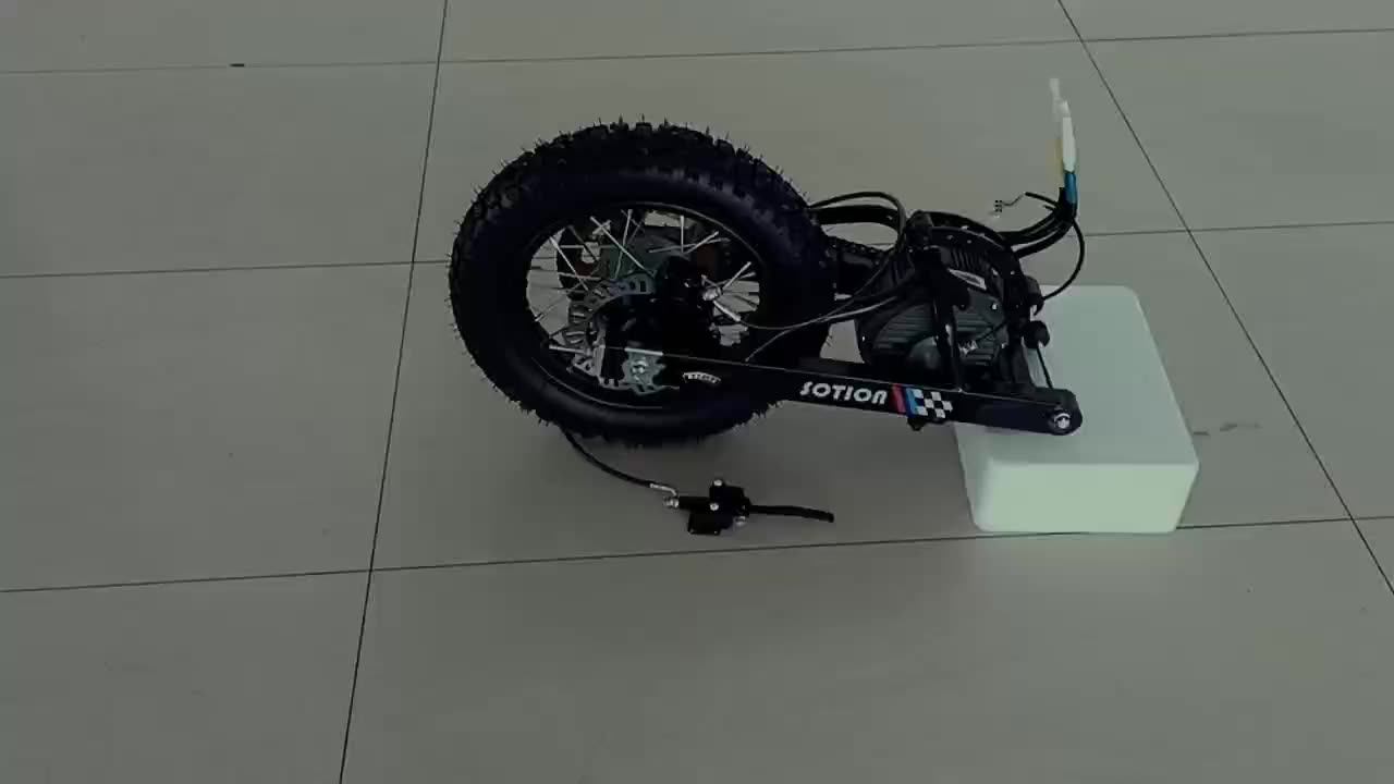 Swing Arm 13kw Motor Meets Different Shock Absorption 12-inch Wheels ...