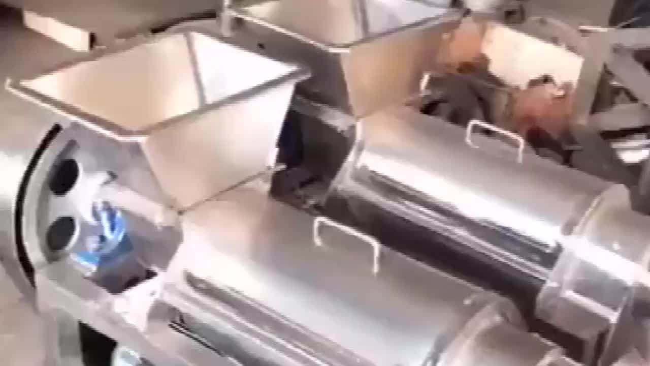 Professional Garlic Ginger Beet Juice Extractor Prickly Pear Pineapple ...