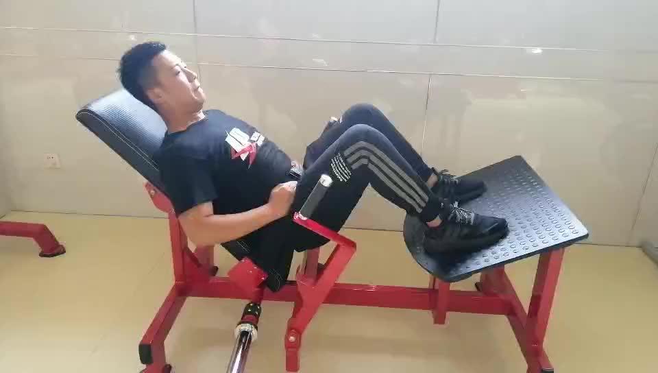 High Quality Hammer Strength Commercial Hip Glute Training Exercise Gym ...