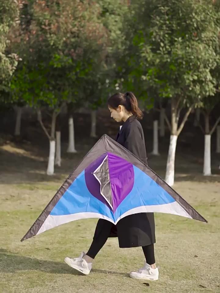 Blue Lotus Kite New Design Model Polyester Kite Fiberglass Frame ...