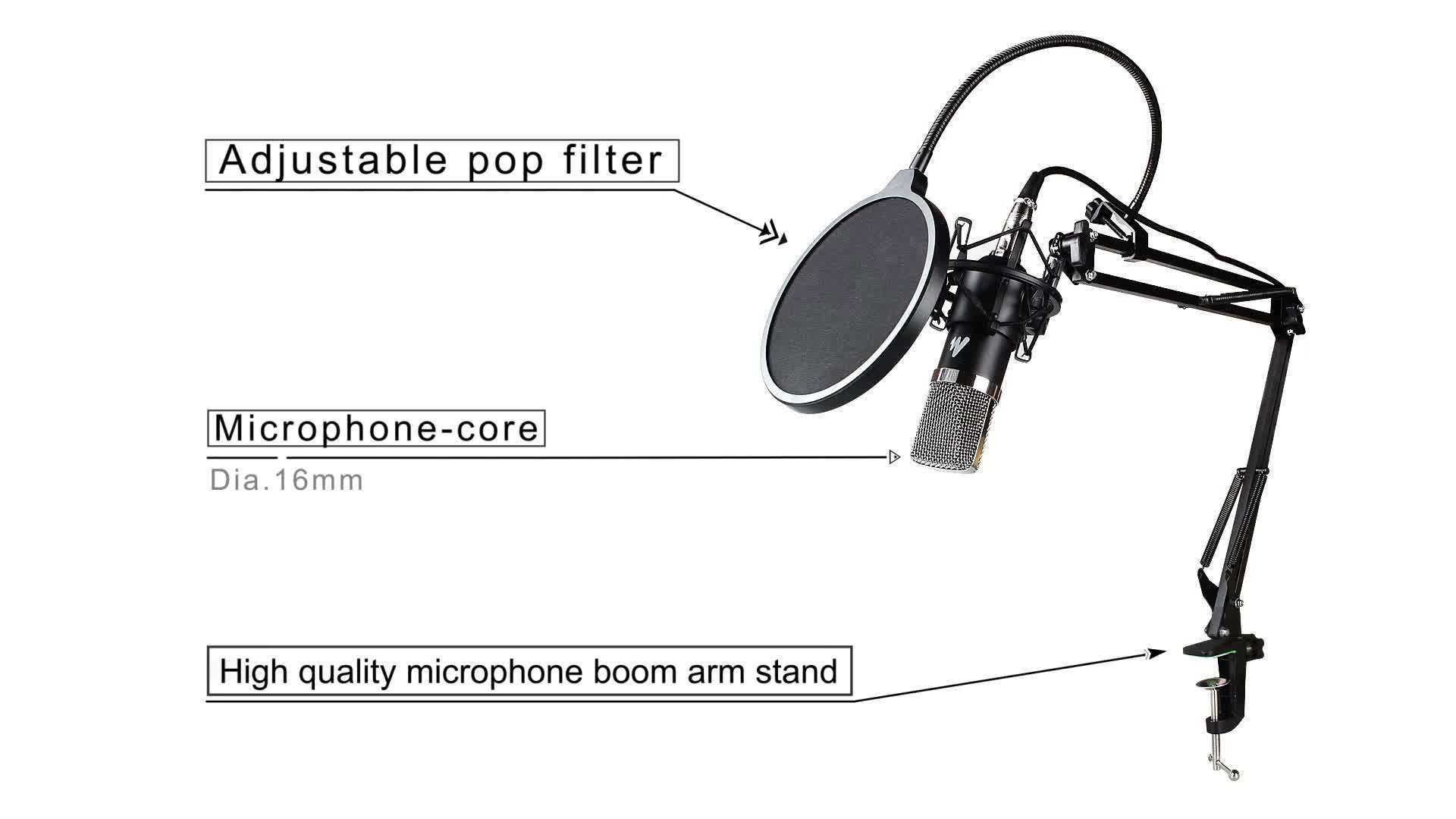 Moano Portable Cardioid Condenser Microphone For Podcasting Vocal Skype ...