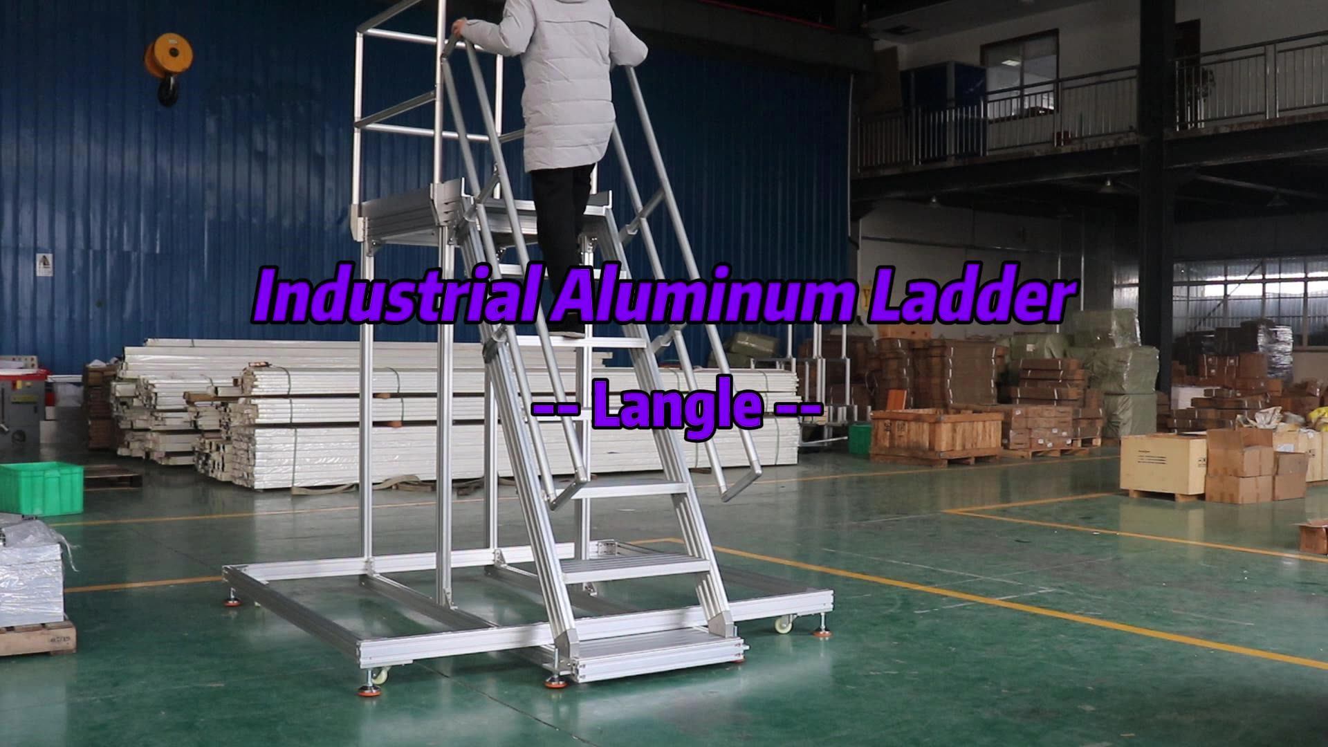 Langle Detachable Mobile Step Ladder Muted Climbing Platform For ...