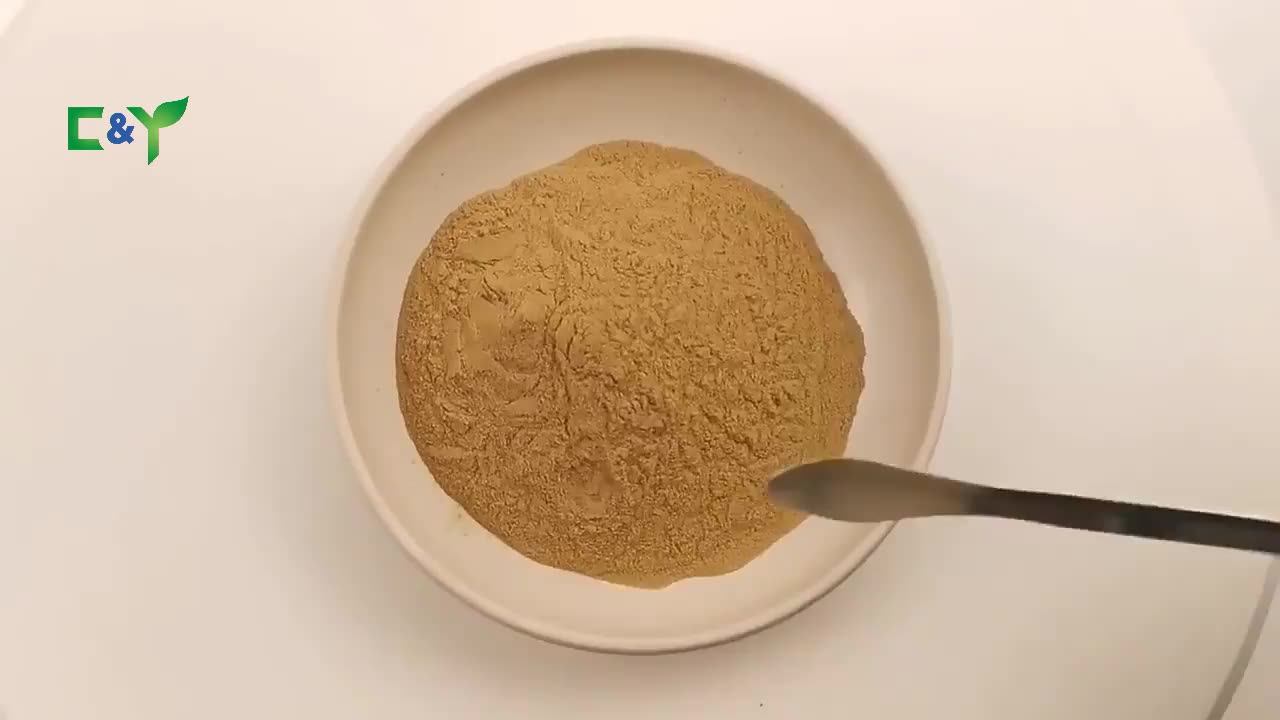 Manufacturers Selling Miswak Extract Salvadora Persica Powder Salvadora ...