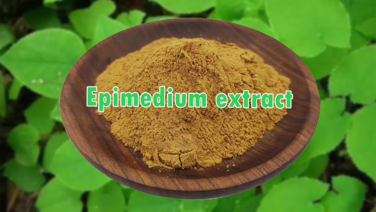 Epimedium Plant Extract Icariin 5% Epimedium Extract Powder Horny Goat ...