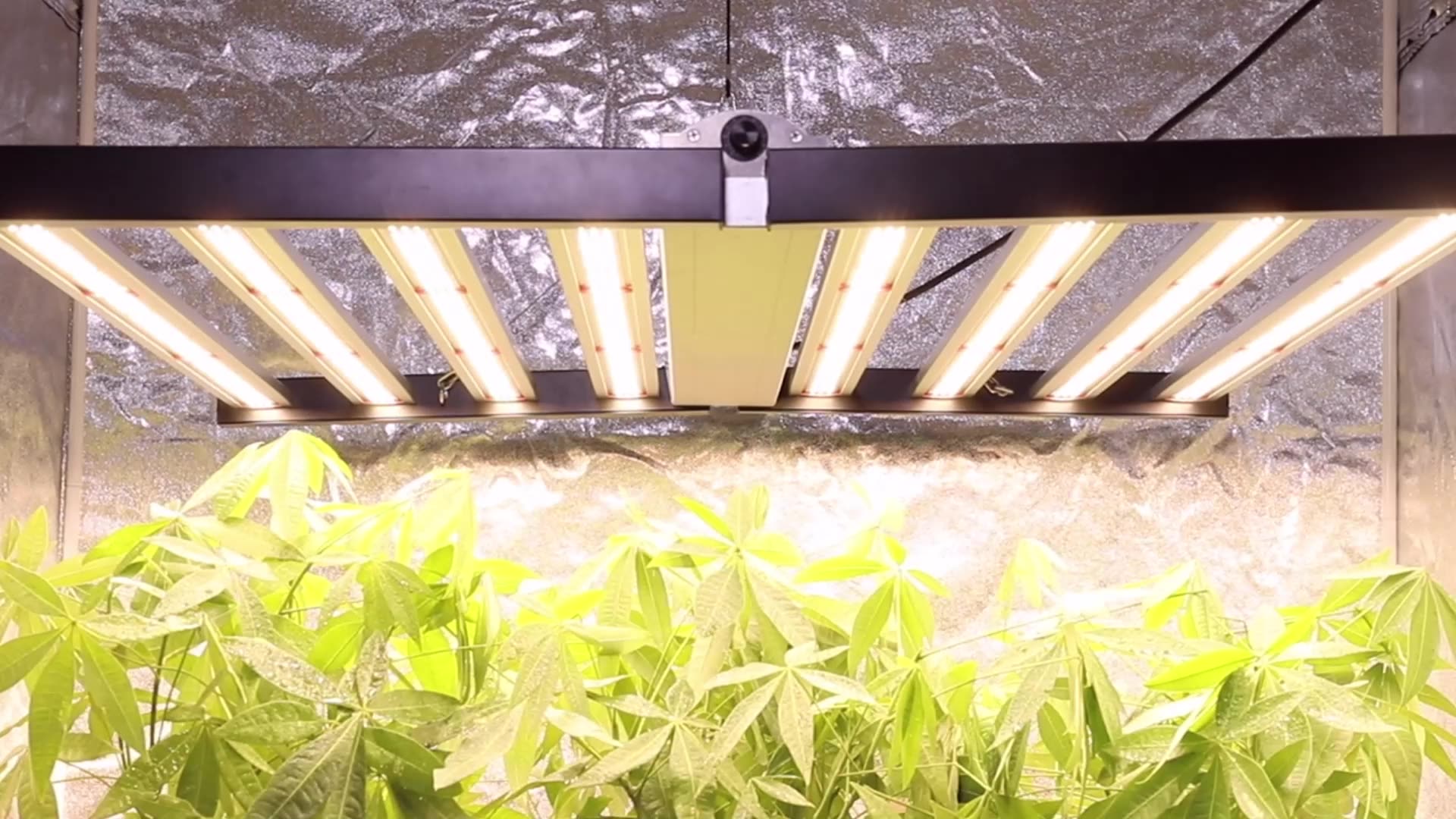 Vertical Grow Rack System Vegetable Samsung 301b Lm301h Lights Full ...