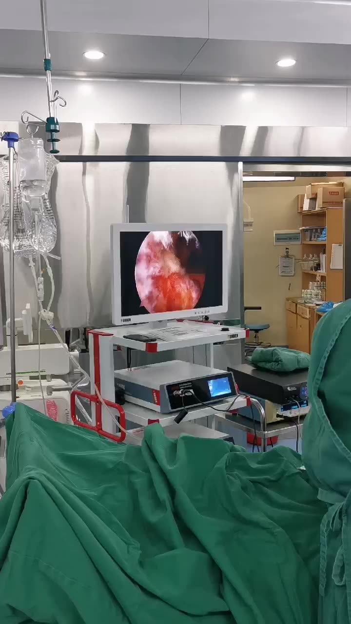 Viral Videos & Demos On SHREK (endoscopy camera system company ...