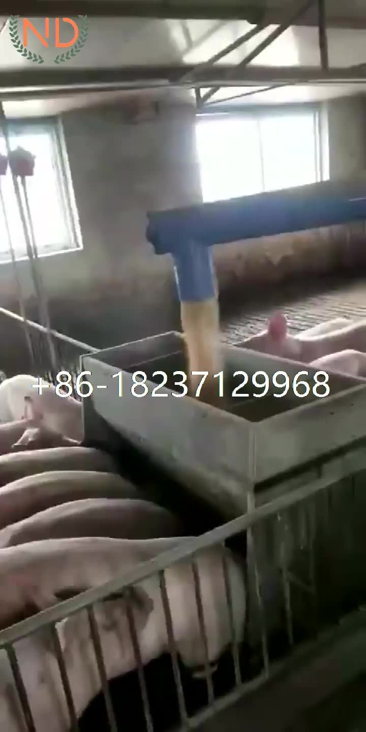 Livestock Hog Feeder Cart Automatic Feeders For Pigs Automatic Piggery ...