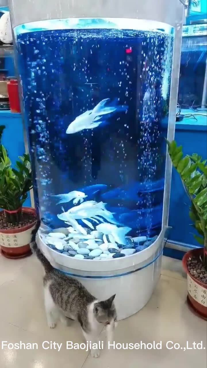 Household Light Up Led Transparent Semicircle Wall Aquarium Fish Tank ...