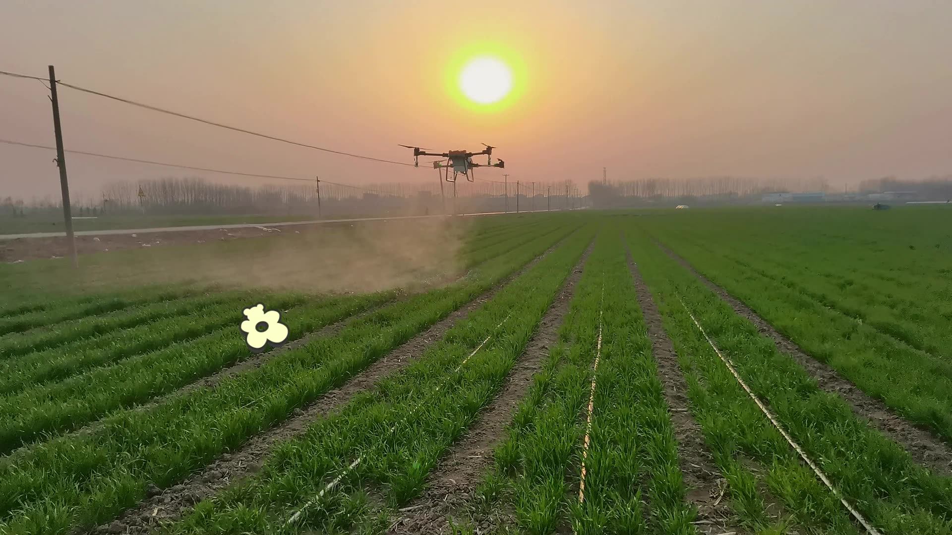 Plant Protect Drone Uav Agriculture Kit Drone Sprayer Price ...