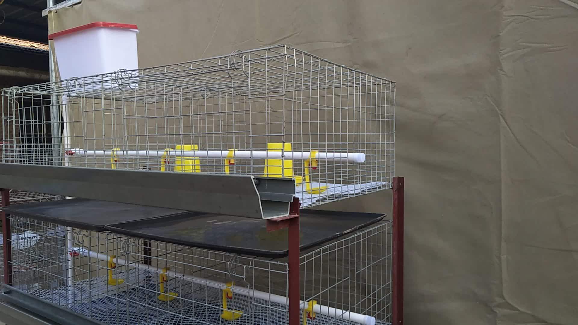 Battery Cages Broiler Cage Type H Broiler 3/4 Tiers Chicken Cages In ...