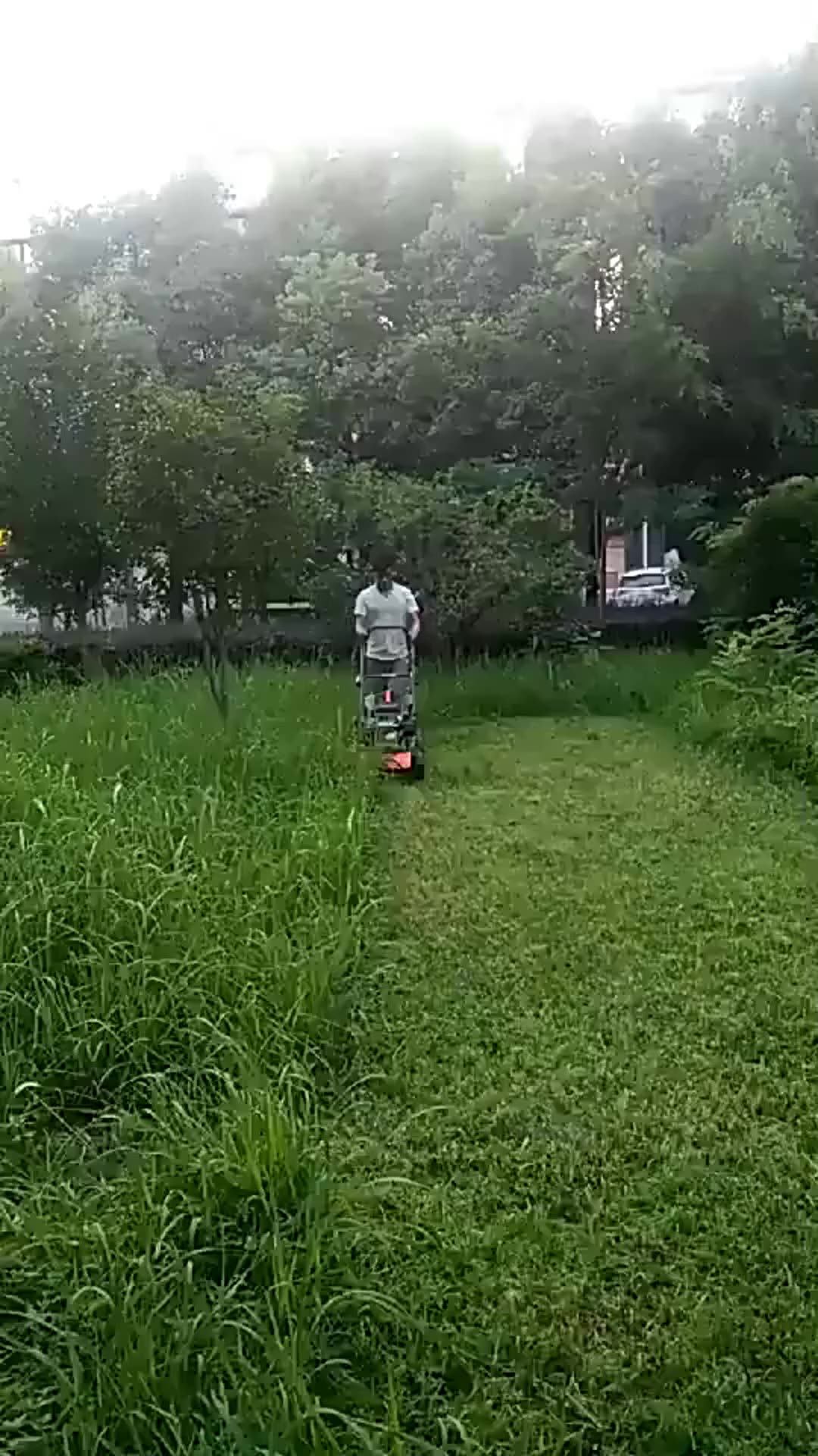 Petrol Operated Electric Self Propelled Lawn Mower 4 Stroke Grass ...