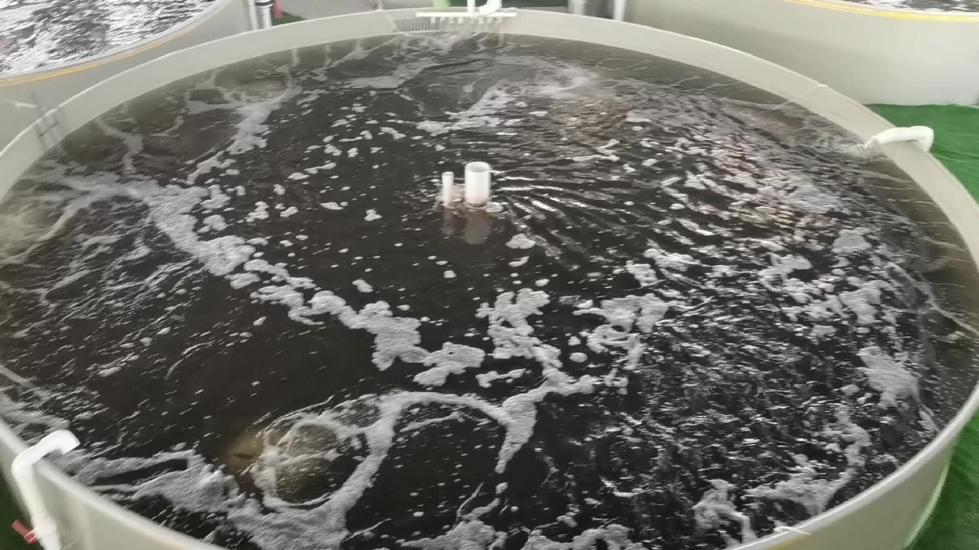 Intensive Recirculating Aquaculture Systems Tilapia Fish Farming Ras ...