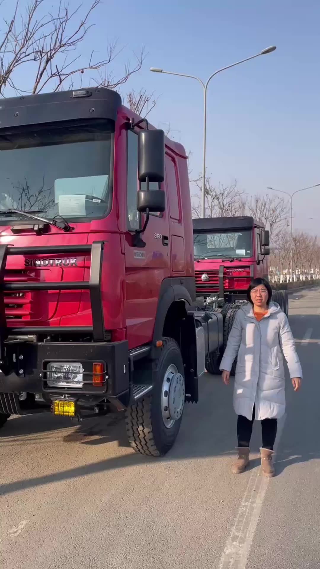 Sinotruk Howo 20 Ft Container Side Lifter Vehicle Truck - Buy Sinotruk ...