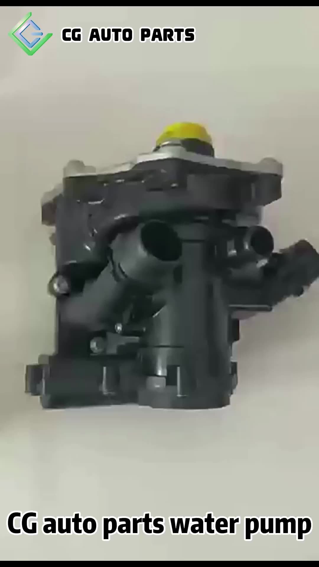 Cg Auto Parts Genuine Ina Water Pump 538036010 1k0698151 1k0698151e ...