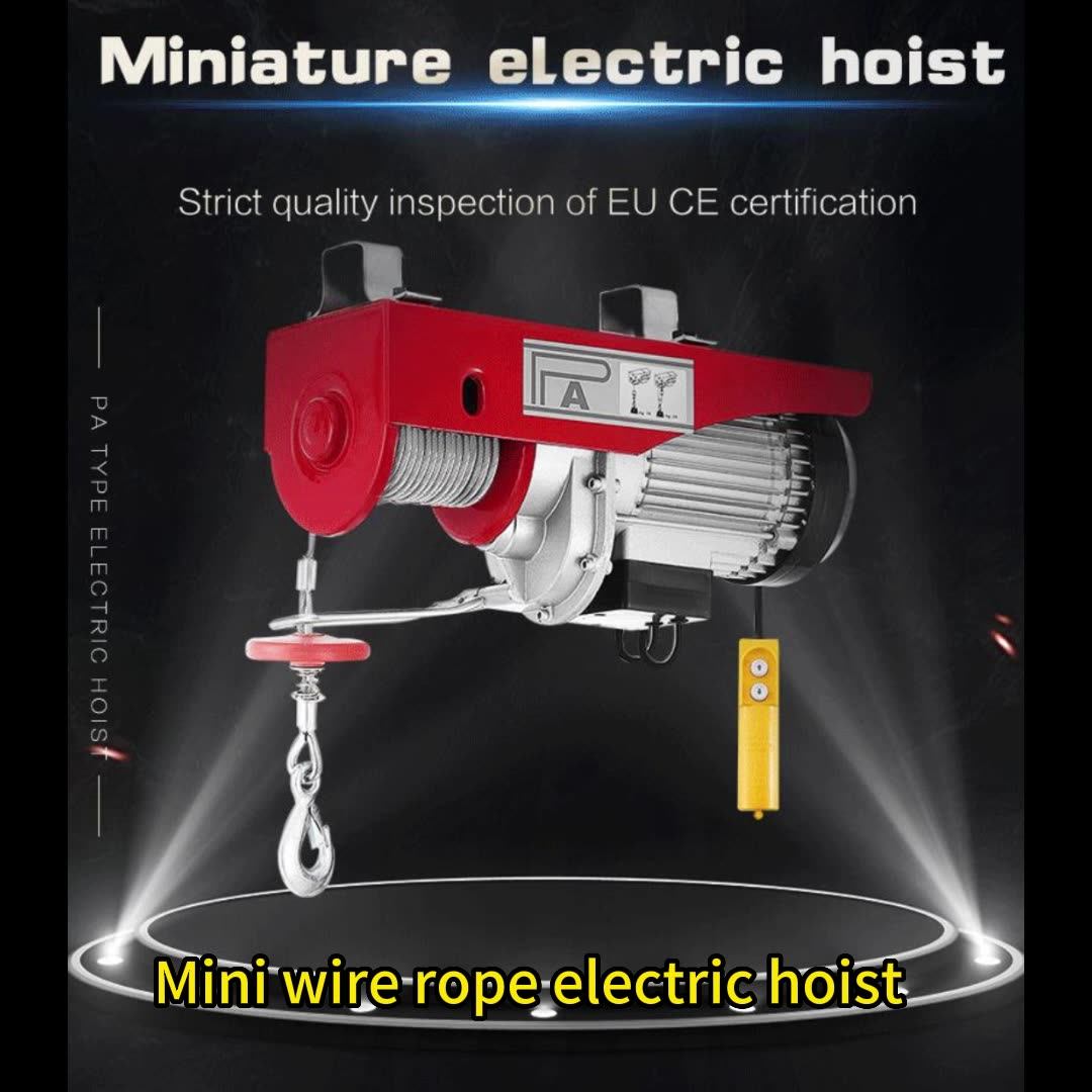 Pa 300kg/500kg/1000kg Electric Hoist Lift 110v 220v 230v Small Micro ...