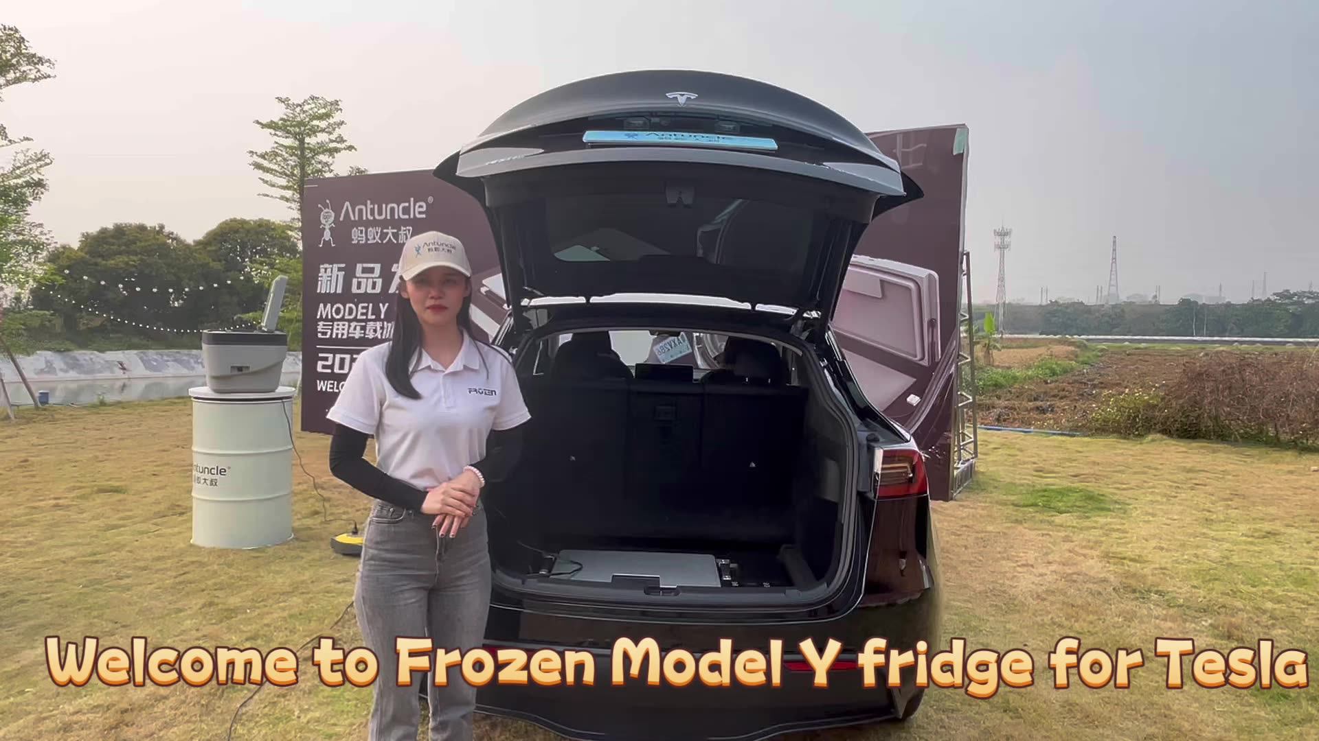 Tesla Model Y Freezer Oem 35l Compressor Fridge Dc 12v Customized Car ...