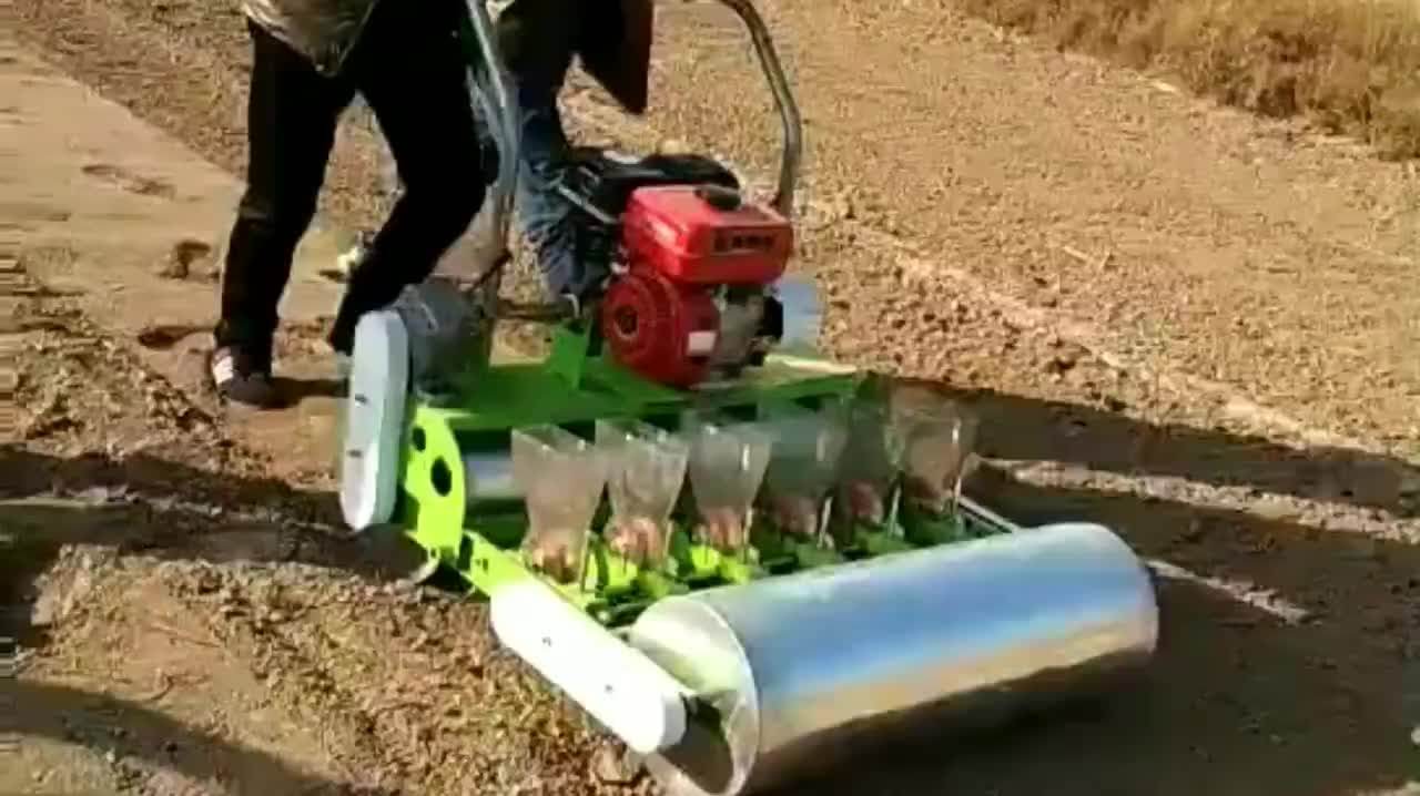 Multi Row Farm Machine Gasoline Petrol Vegetable Seeder Onion Planting ...