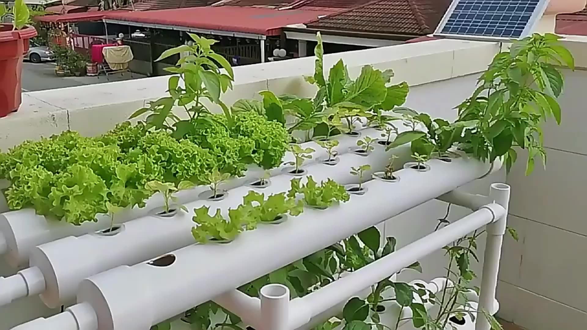 Ukiok Micro Green Farm Aquaponics Indoor Grow System Aeroponic ...