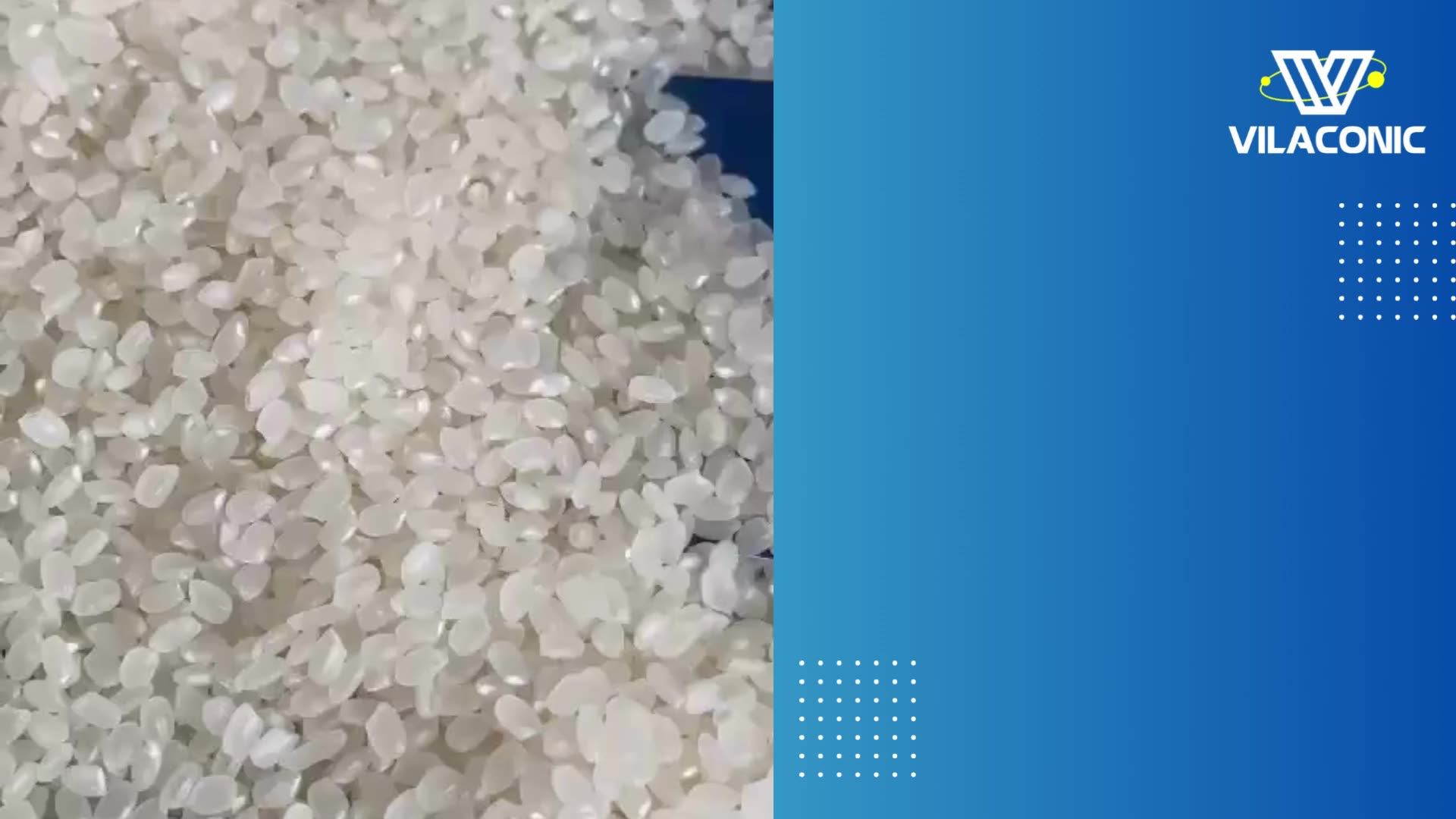 Vietnam Koshihikari Sushi Rice New Crop,Short Grain Rice,Japonica Rice ...