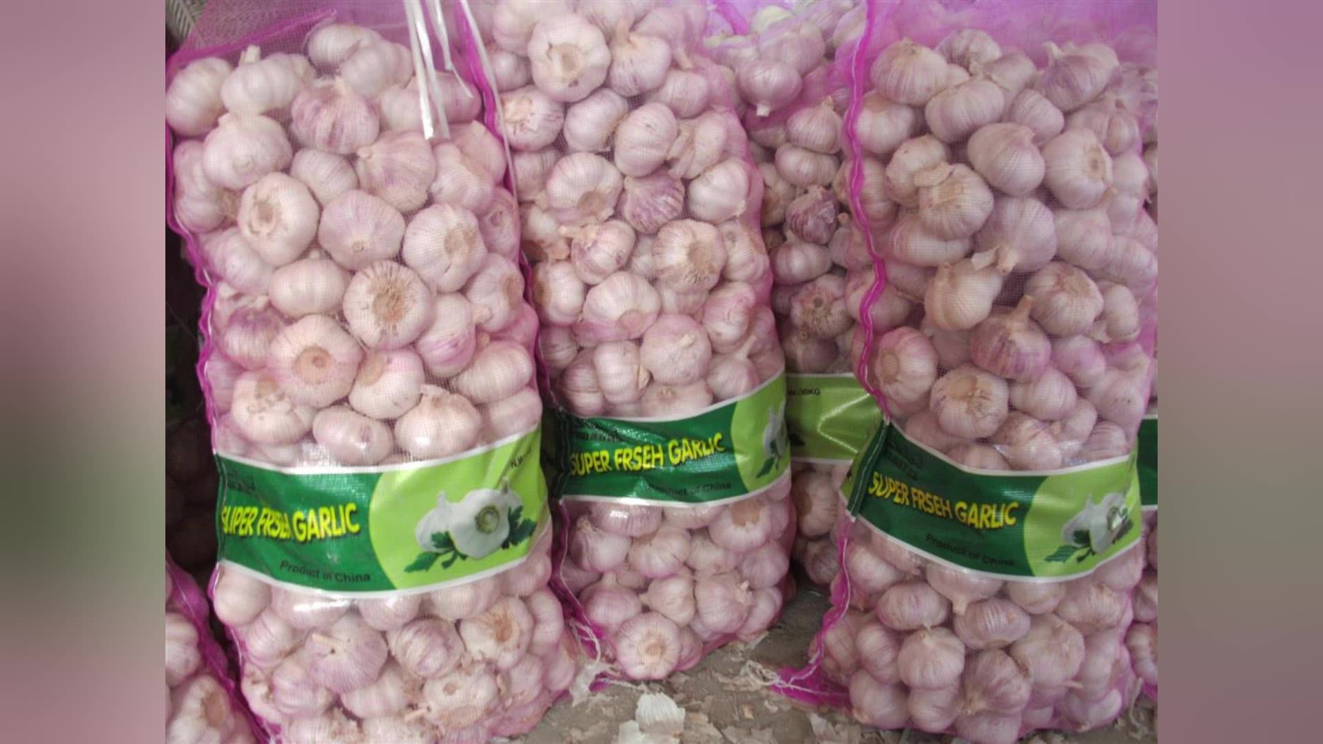 Cheapest Price Natural Normal White Garlic In Pakistan - Buy Natural ...