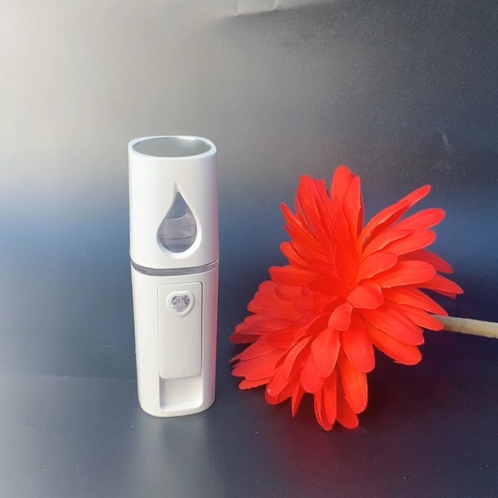 Myoung Fast Delivery Skin Care Mini Portable Automatic Steamer Handy ...