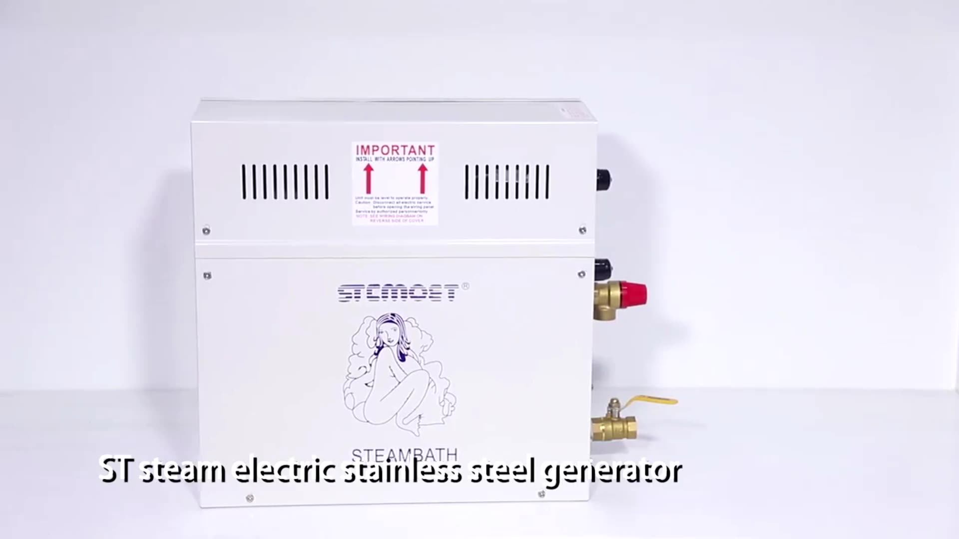 Wet Steam Shower Room Use Family 6kw Sauna Steam Bath Machine - Buy ...