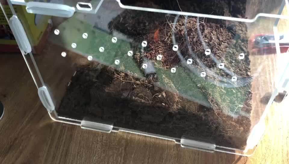 Plastic Acrylic Reptile Cage For Spider Lizard Gecko Acrylic Small ...