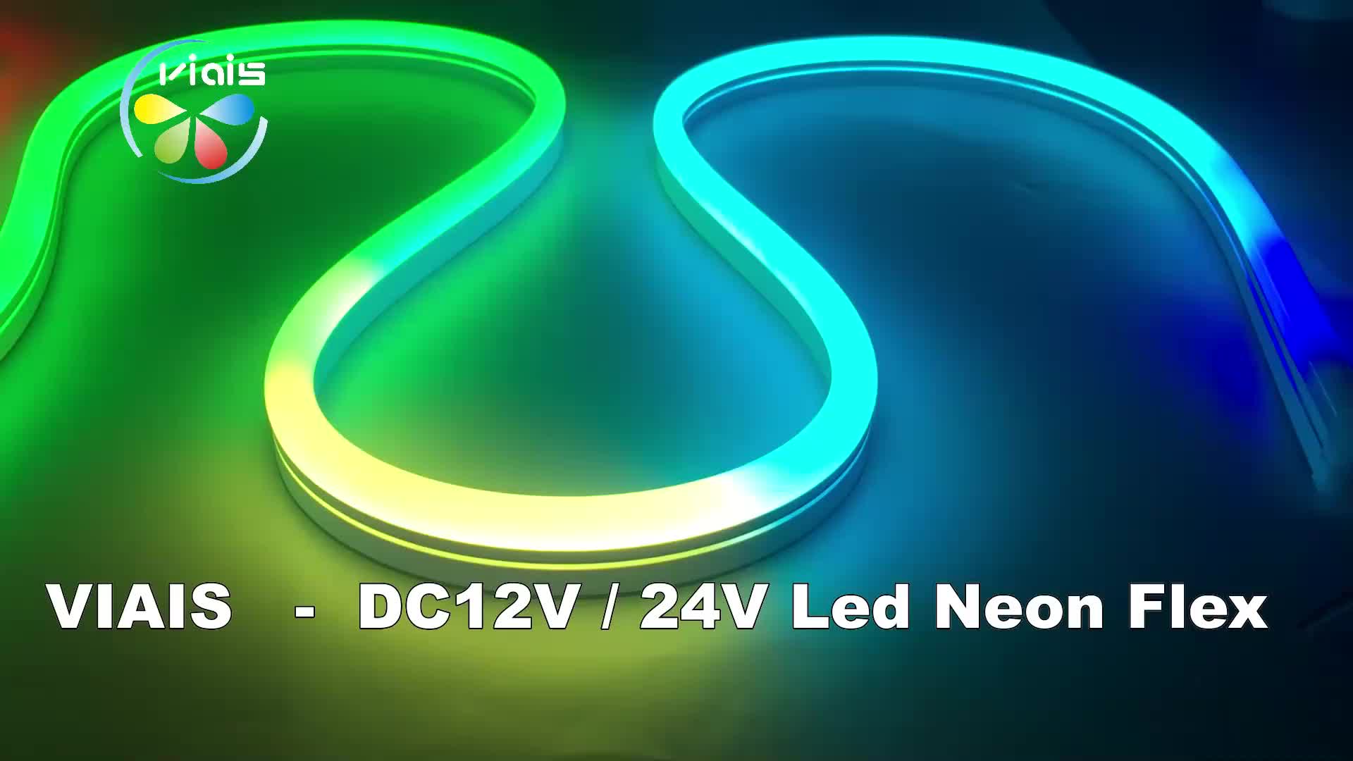 12v/24v Ip68 Pvc Silicone 5050 Rgb Pixel Addressable Neon Flexible Led ...