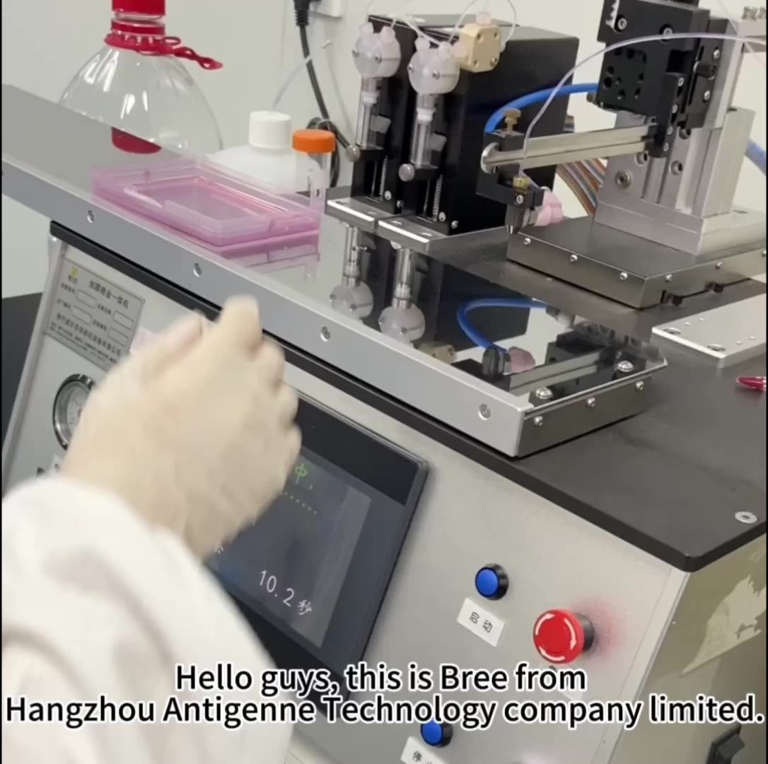 Veterinary Feline Infectious Peritonitis Peritonitis Infecciosa Felina ...