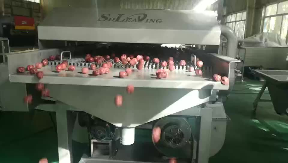 Viral Videos & Demos On Dates processing machines - Alibaba.com