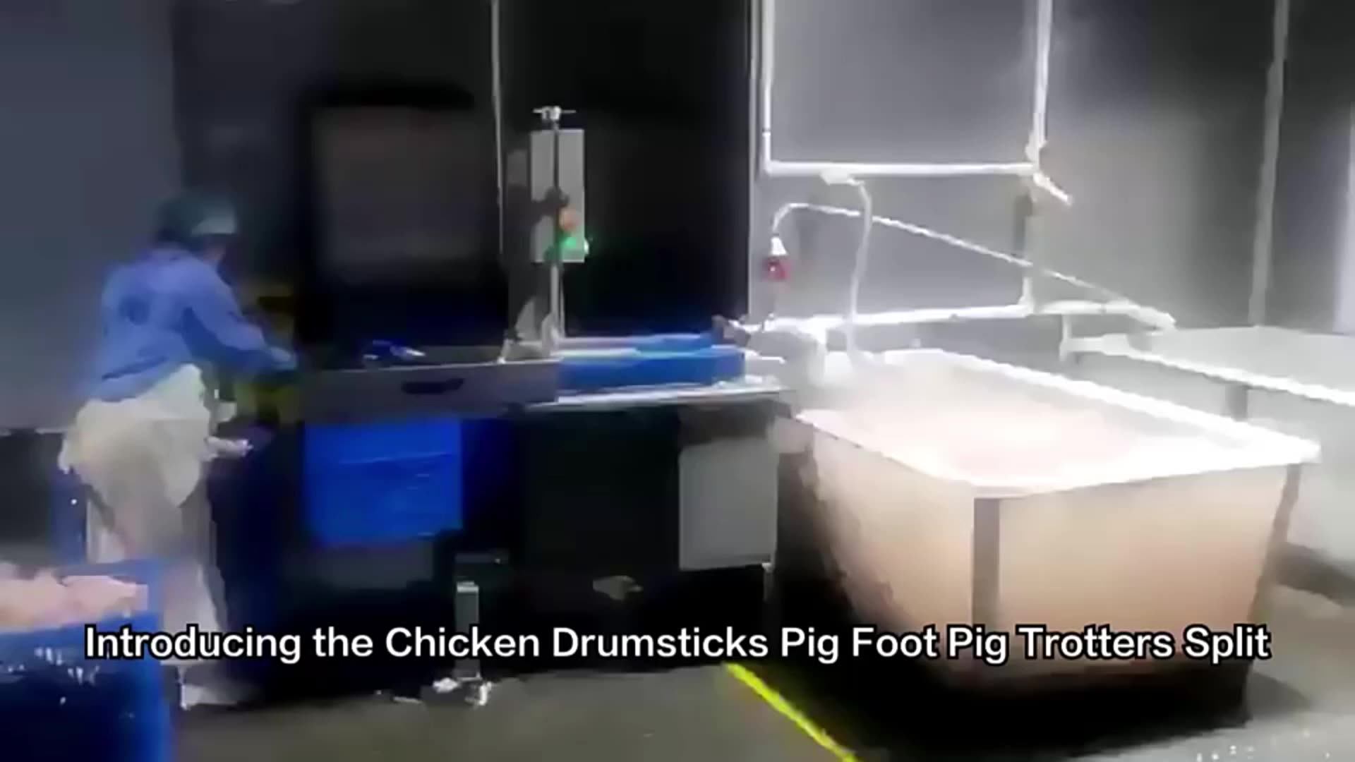 Frozen Pig Trotters Chicken Legs Fish And Duck Legs Cutting Machine ...