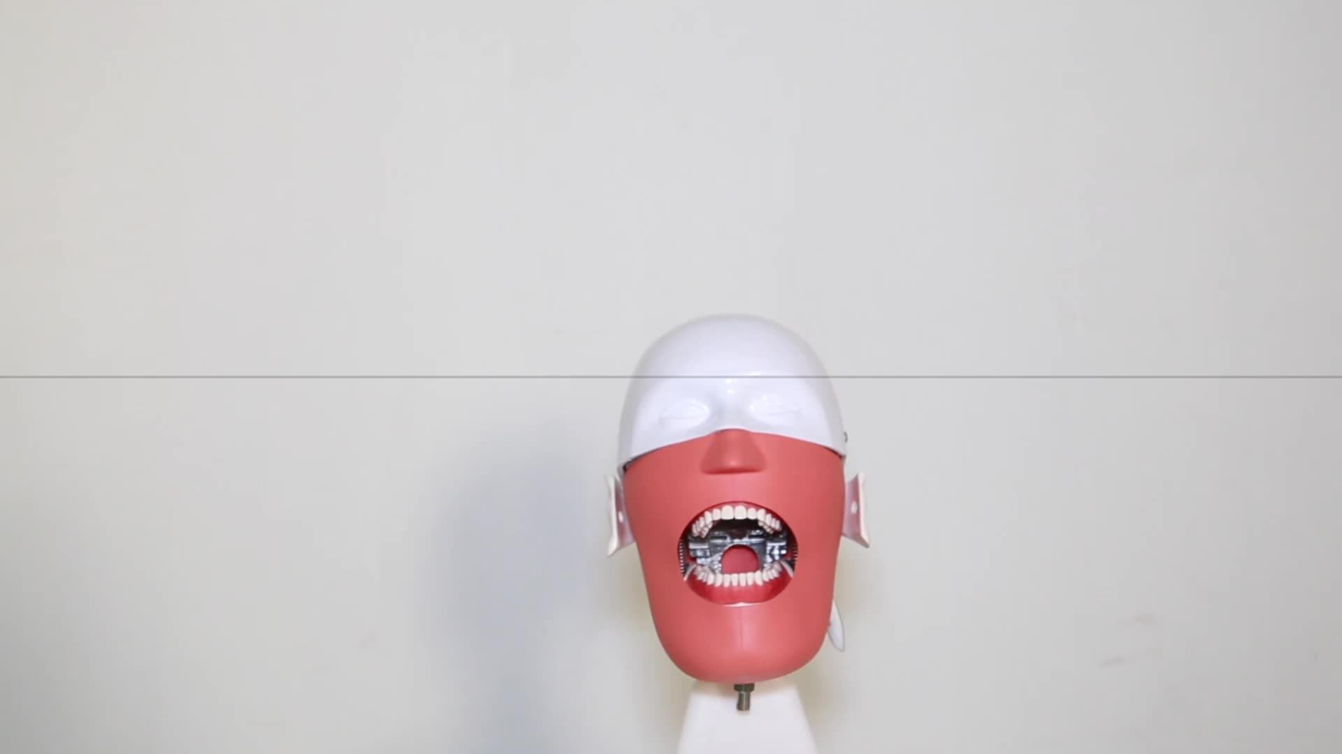 Best Training Method Dental Phantom Head - Buy Dental Phantom Head ...