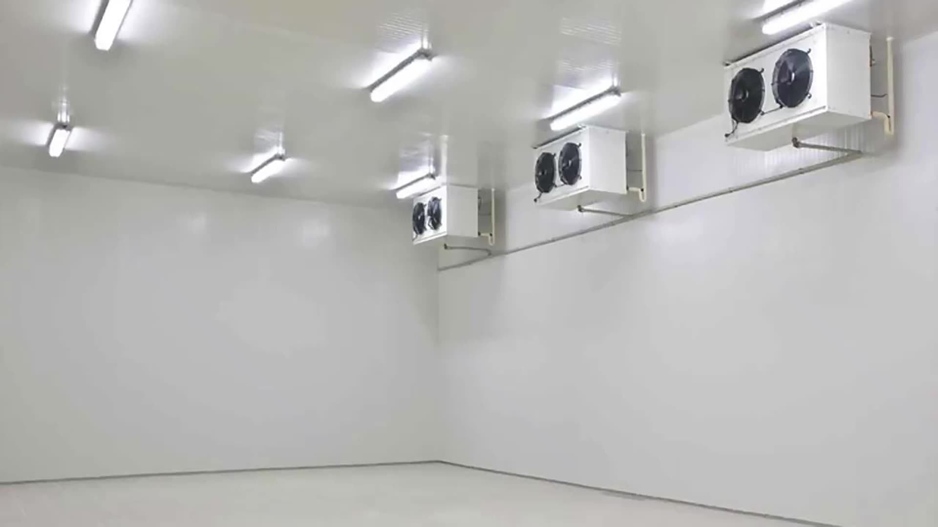 Customized Sizes Of Korean Cold Noodles For Low Temperature Storage Freezer Room - Buy ...