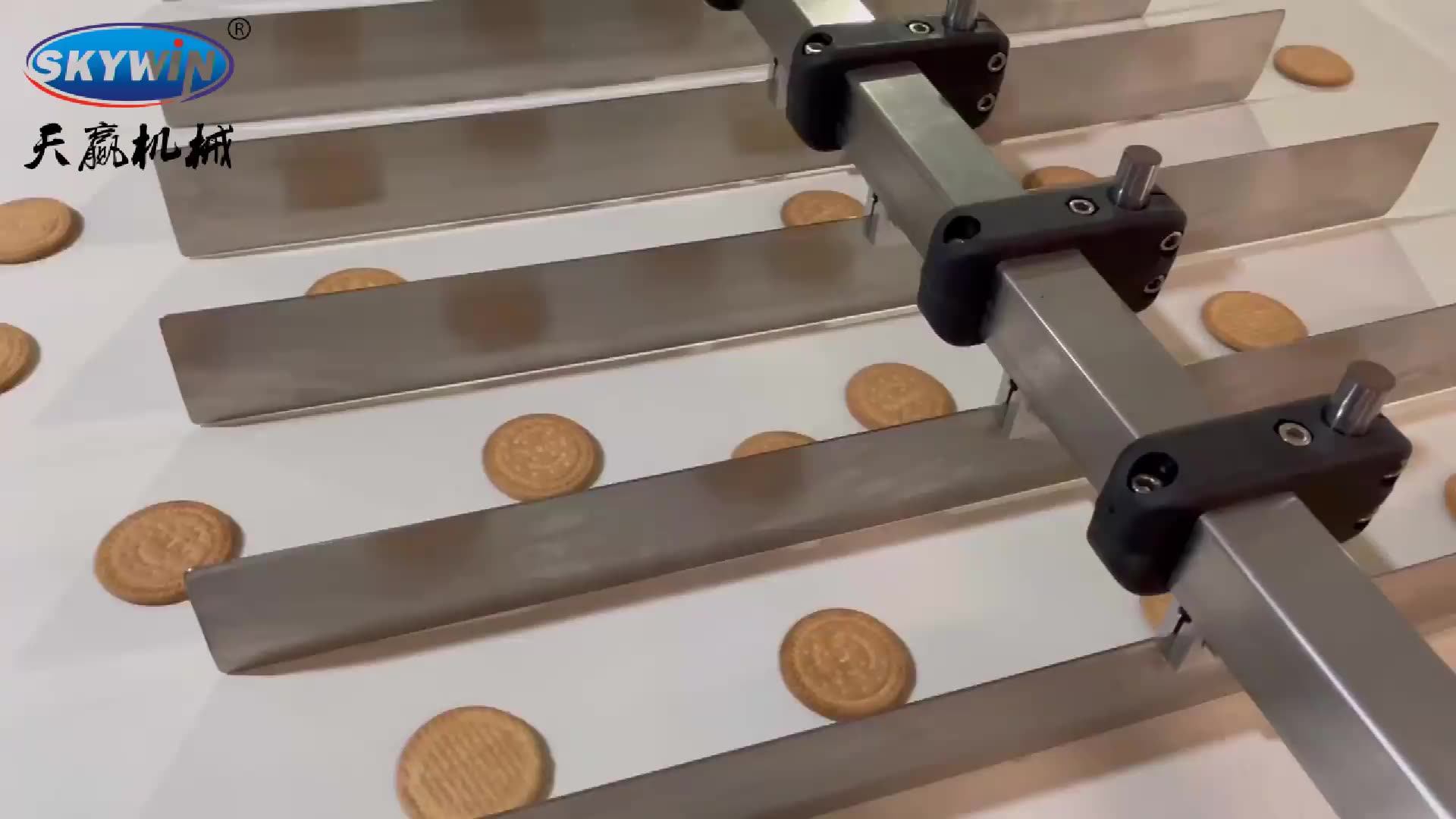 Auto Sorting Line Multi-rows To 8-rows Feeding Conveyor Connect With ...