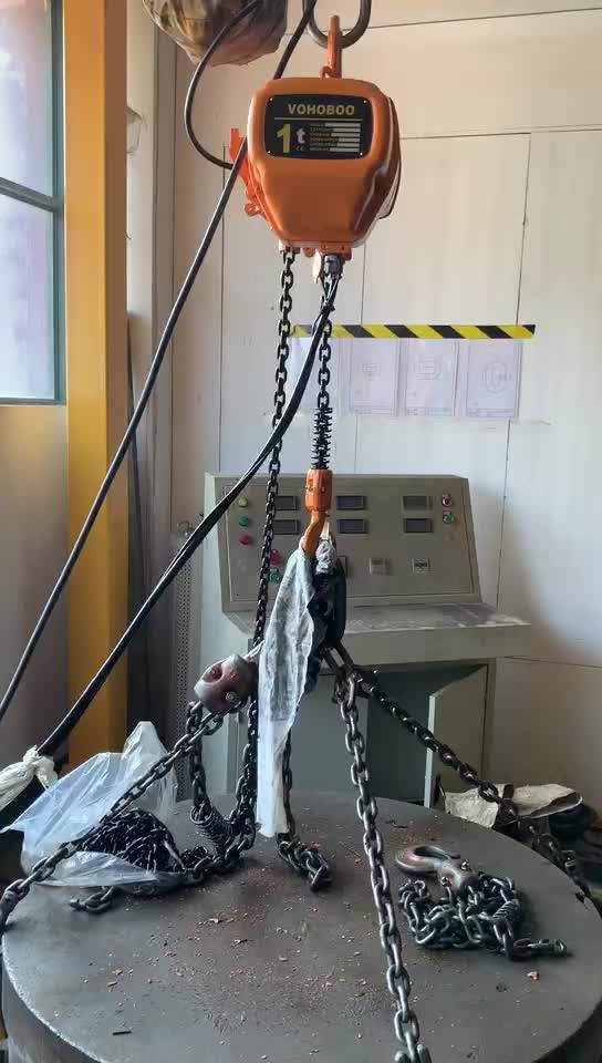 Heavy Duty Manual Hoist Lifting Devices 20 Ton - Buy 20 Ton Chain Hoist ...