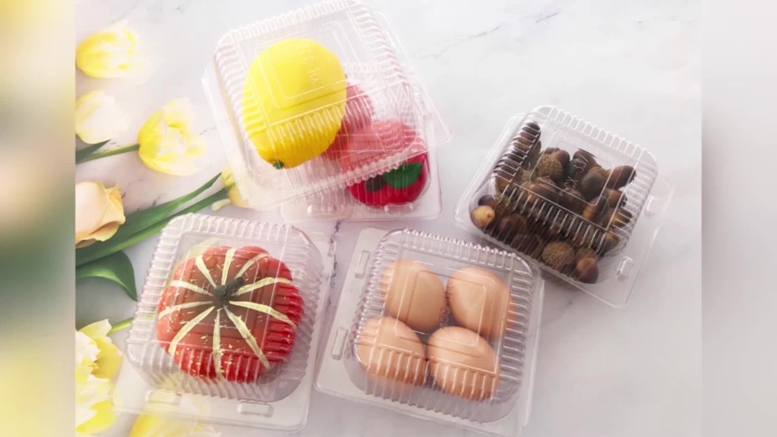 Custom Hamburger Burger Box Packaging Plastic To Go Containers Hinged ...