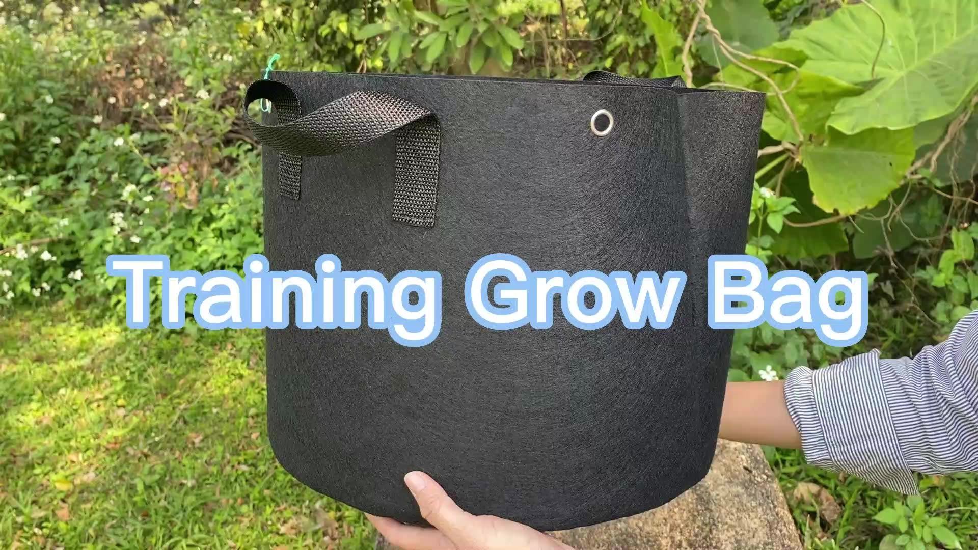 5 Gallon Low Stress Training Grow Bags (5pcs) Including 5 Gallon Fabric ...